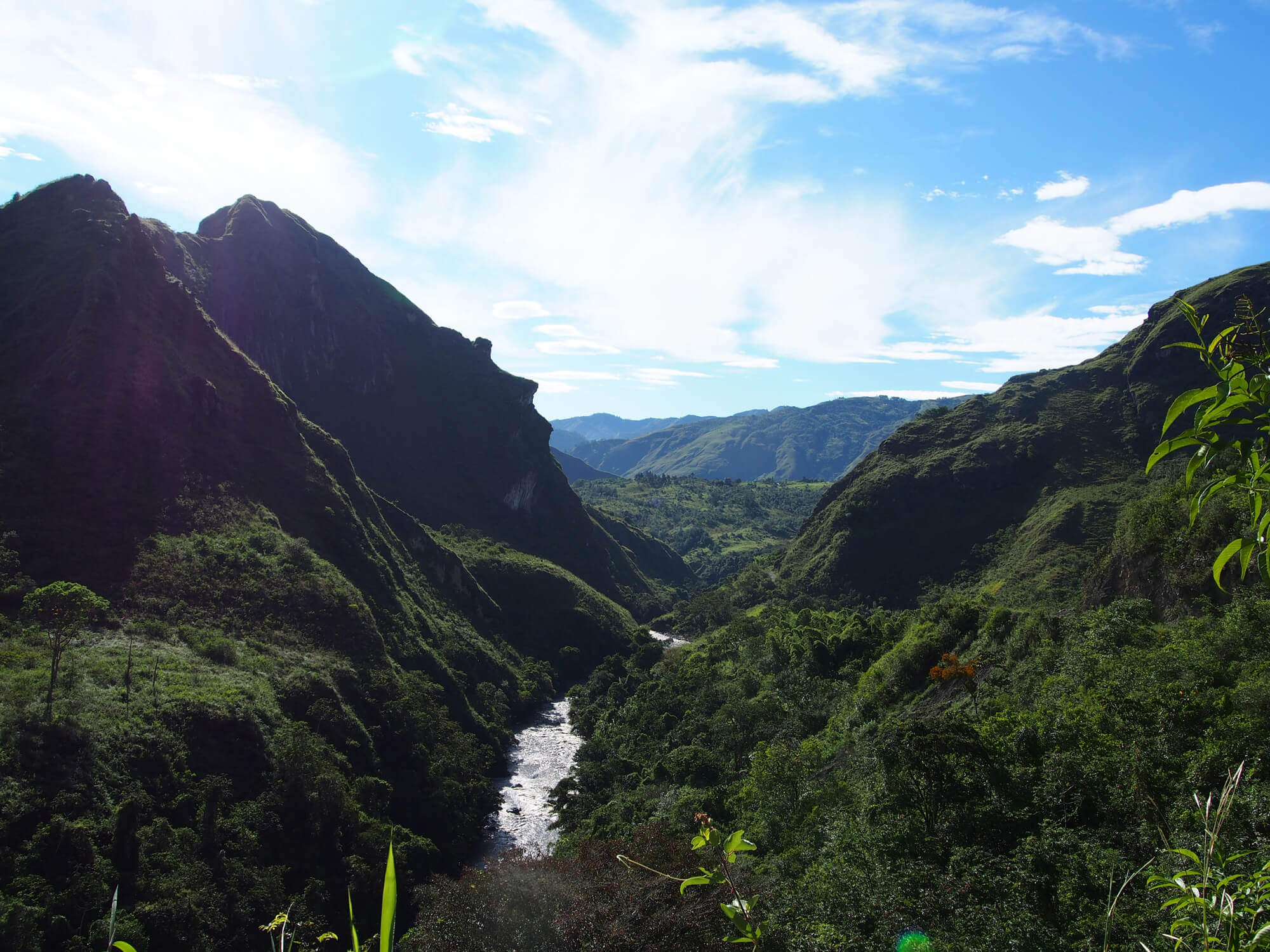 Travel Journal: Colombia Inza June 2014 - Red Fox Coffee Merchants
