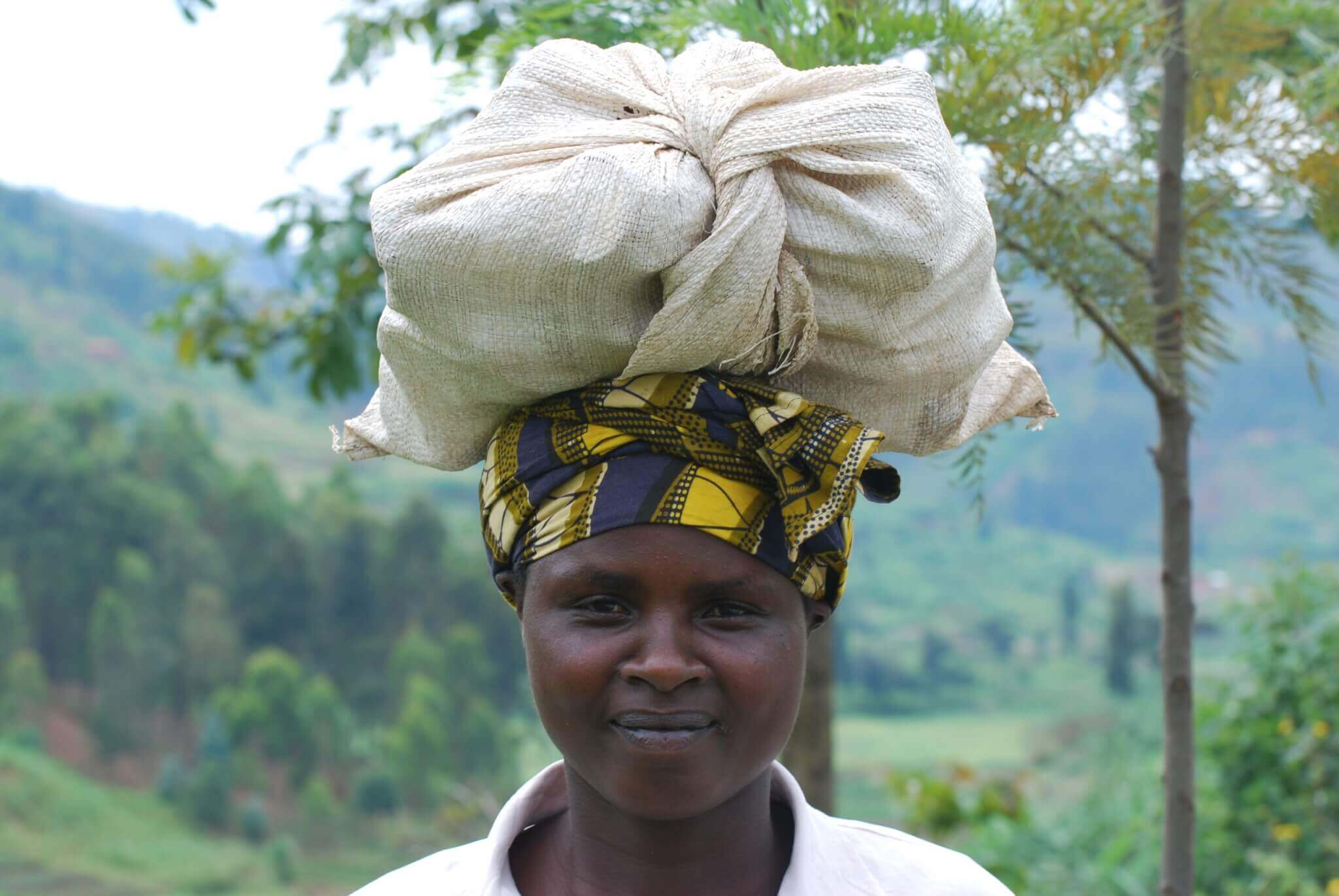 Newsletter: Rwanda Kanzu Offerings 2014 - Red Fox Coffee Merchants
