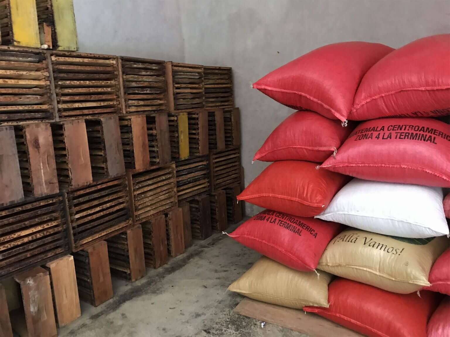 Pluma de Oaxaca: An Origin Reborn - Red Fox Coffee Merchants