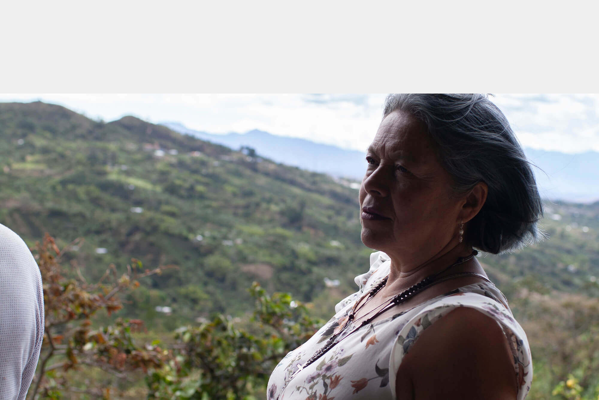 FUDAM's Raquel Lasso Talks Differentiation, Ecoforestry, & Covid-19 ...