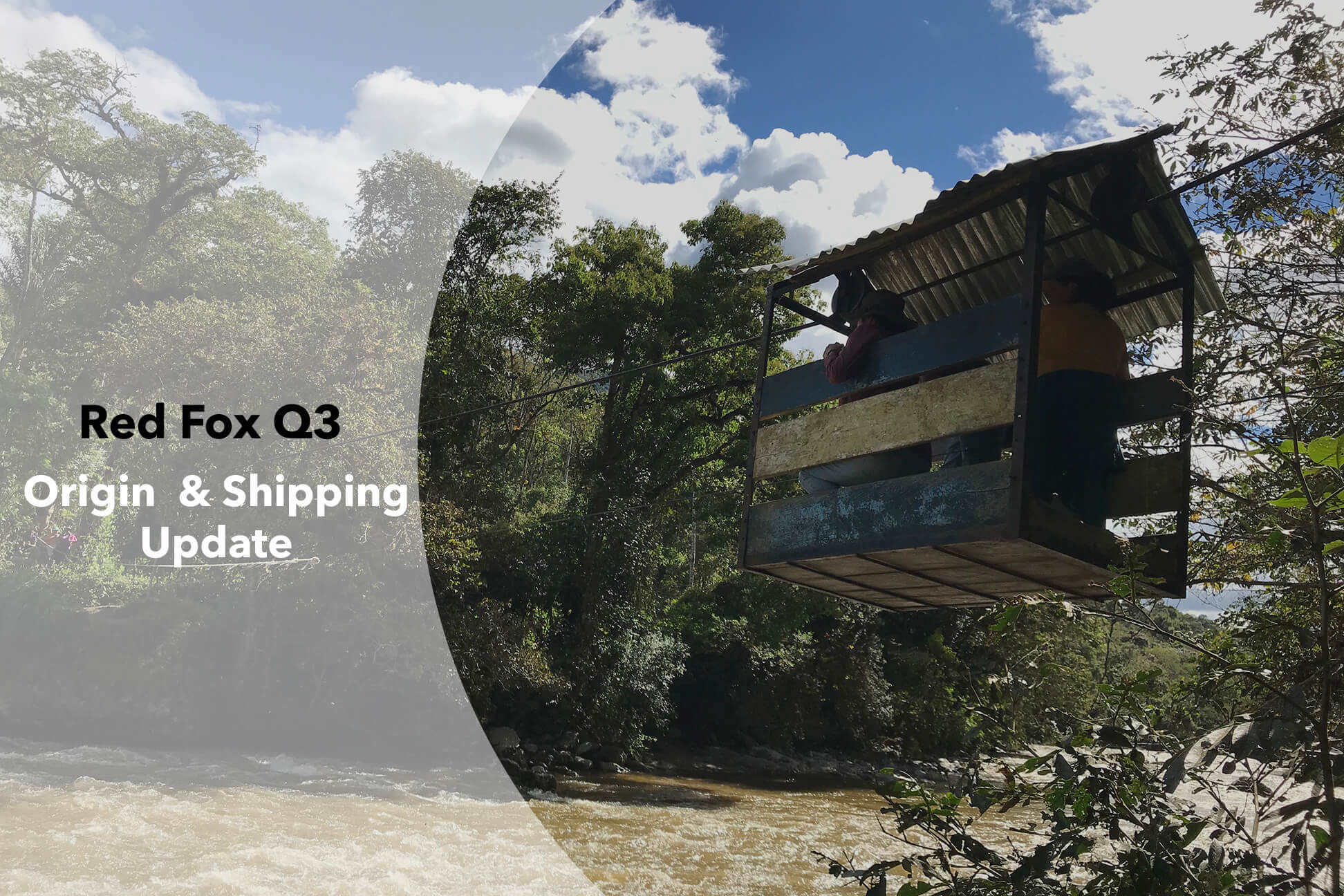 Red Fox Coffee Merchants Origin & Shipment Update: Q3 2021 - Red Fox ...