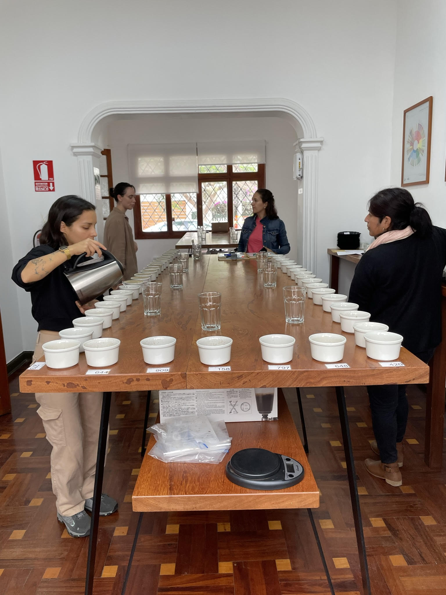 Cupping at Origin: The Complete Guide - Red Fox Coffee Merchants