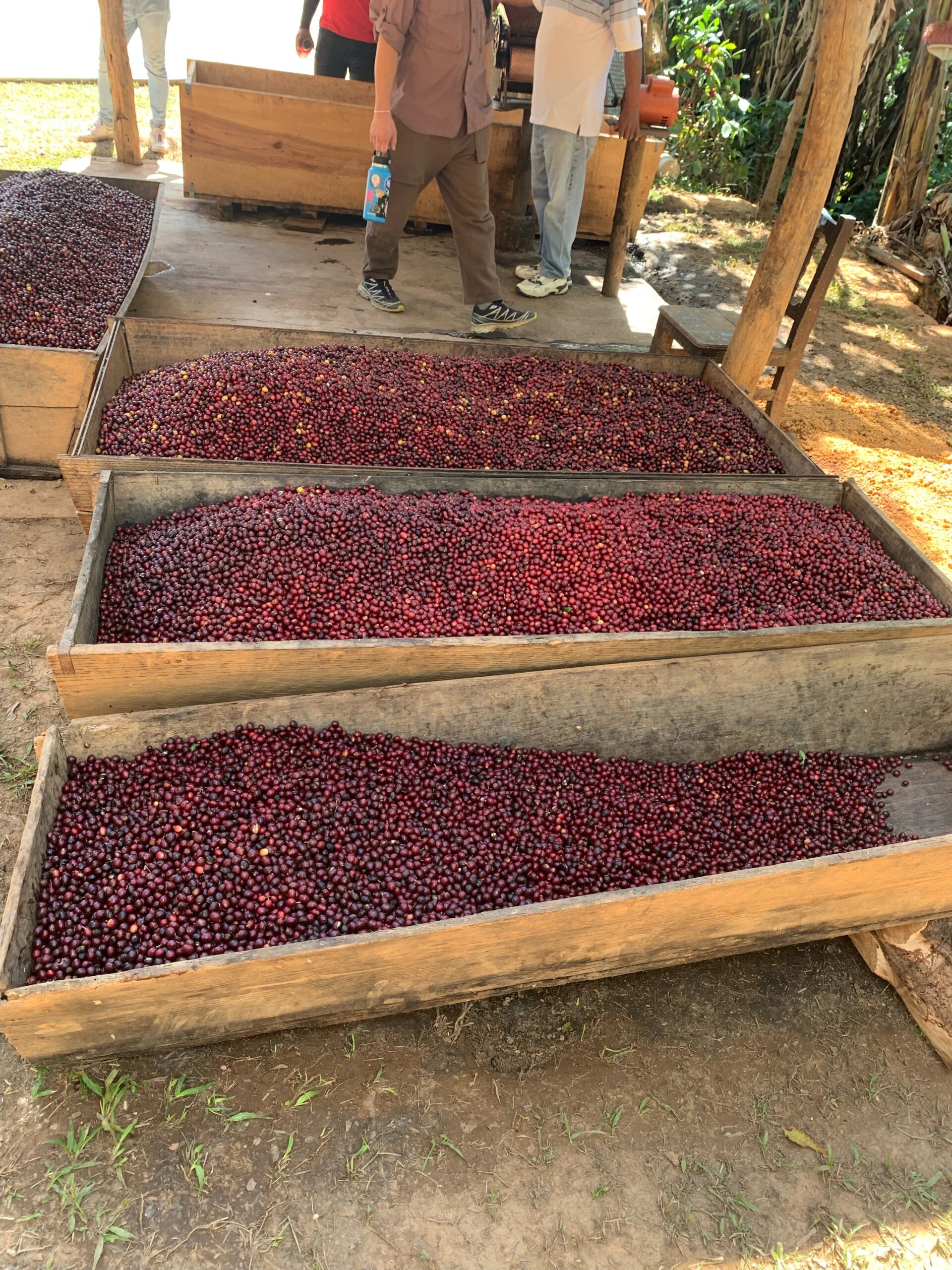 Early Arrivals & Armada of Afloat Coffee Offer Solace Amid Tariff ...